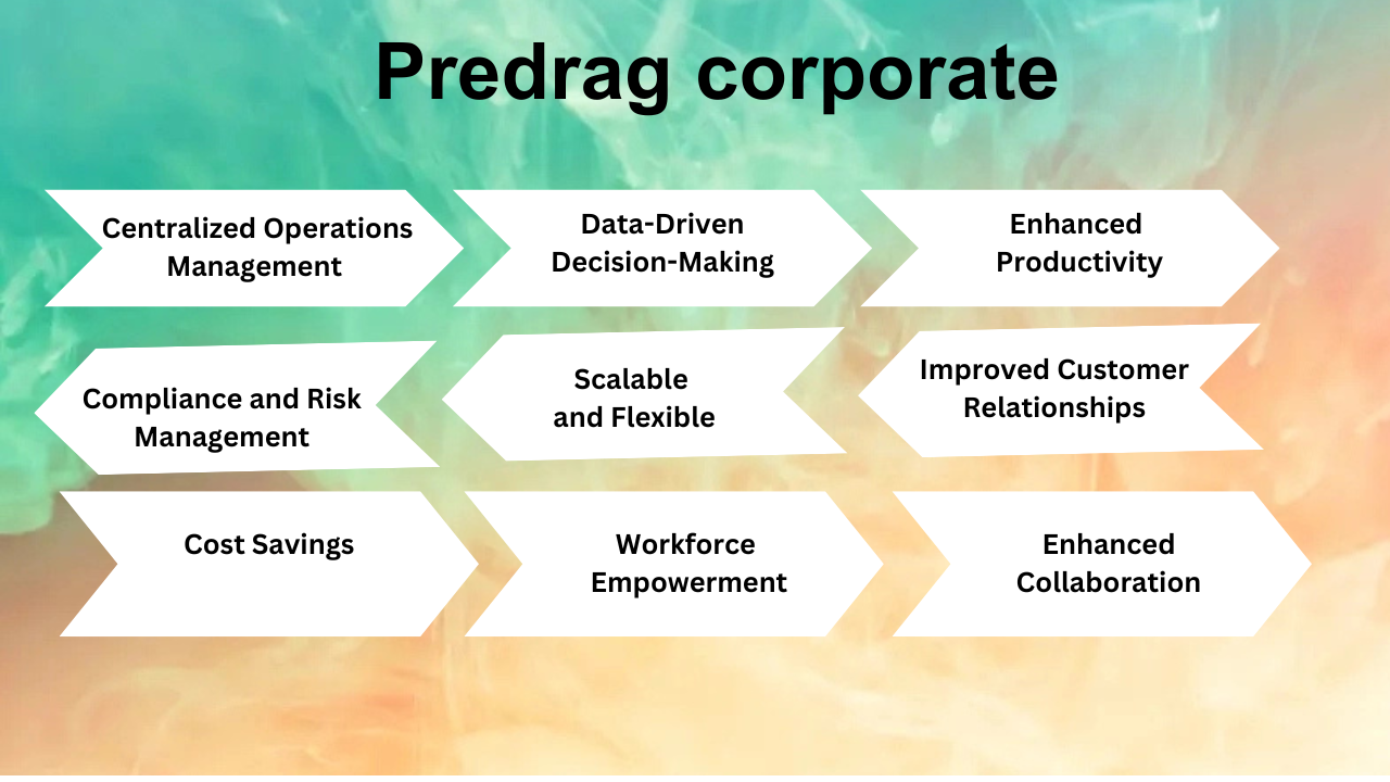 Predrag Corporate - PreDrag System