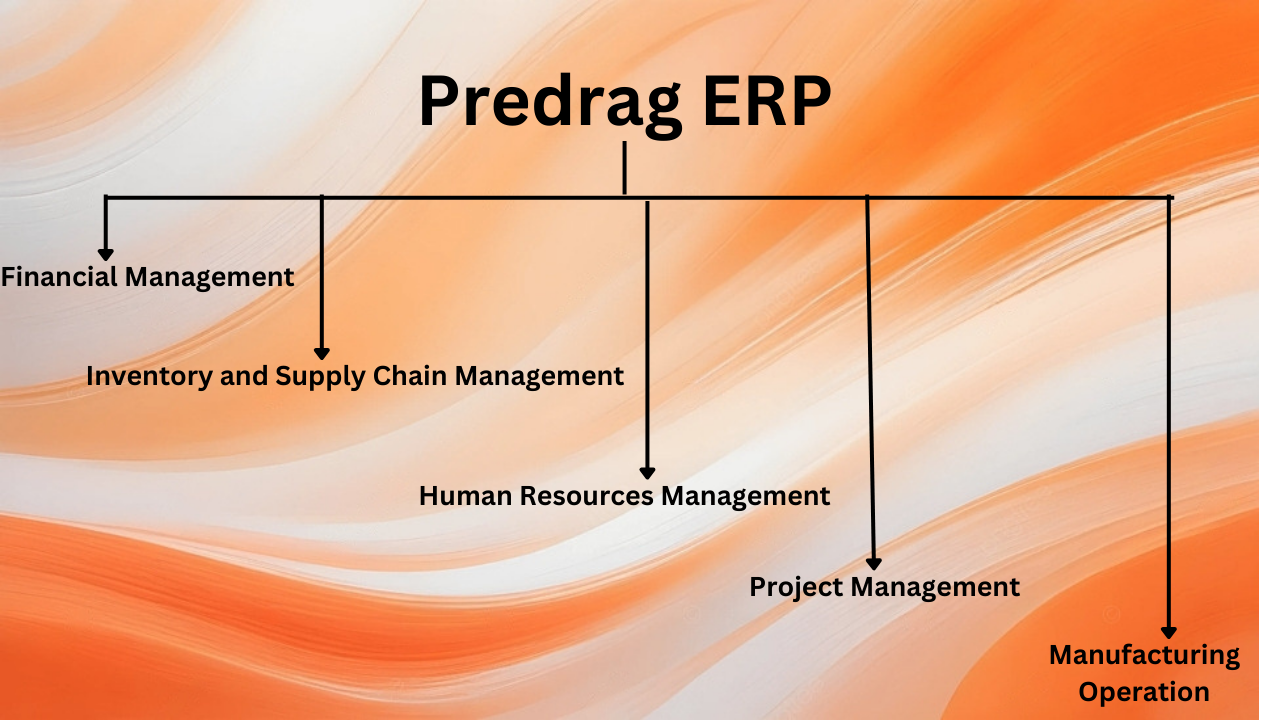 Predrag ERP/CRM - PreDrag System